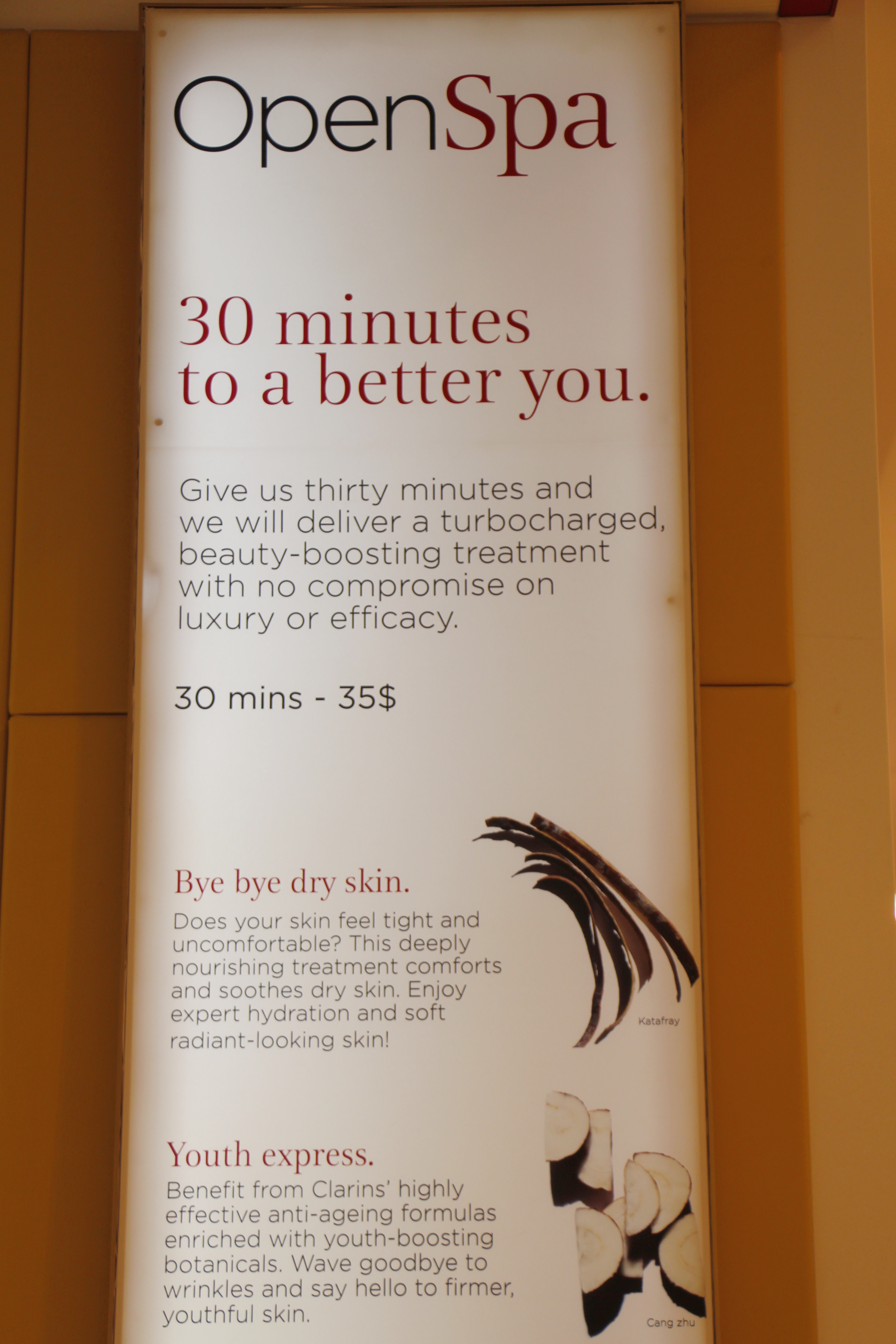 Open Spa by Clarins Get Your Glow On in 30 Minutes! | KIKI KHOSLA