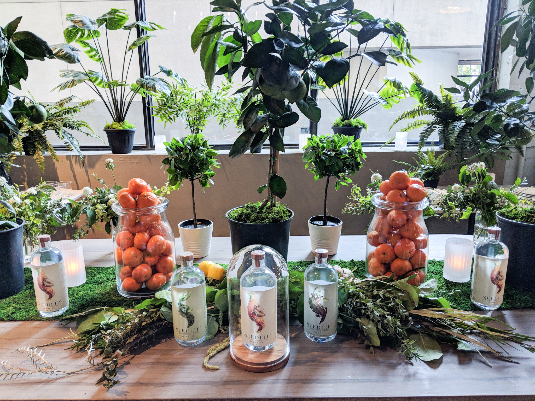 Inside the World's First Distilled Non-Alcoholic Spirit: SEEDLIP ...