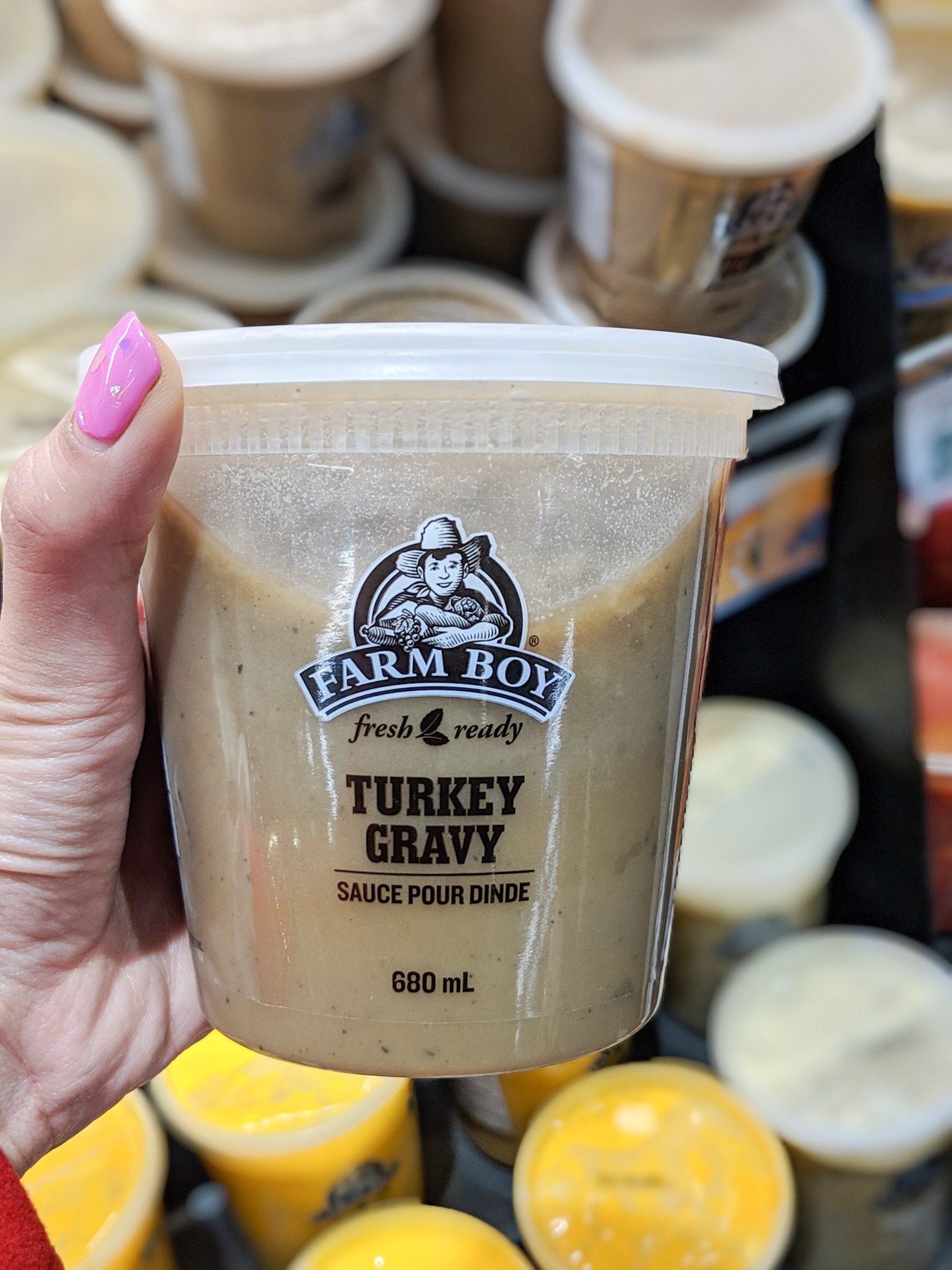 Inside Oakville’s Newest Grocery Retailer, FARM BOY! | KIKI KHOSLA