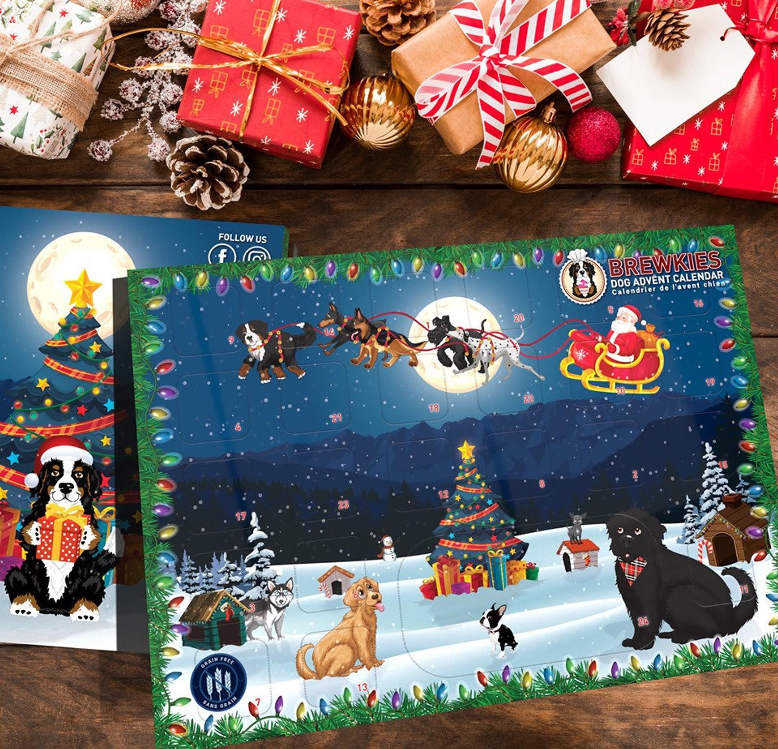 Top 2019 Advent Calendars for Everyone on your List | KIKI KHOSLA